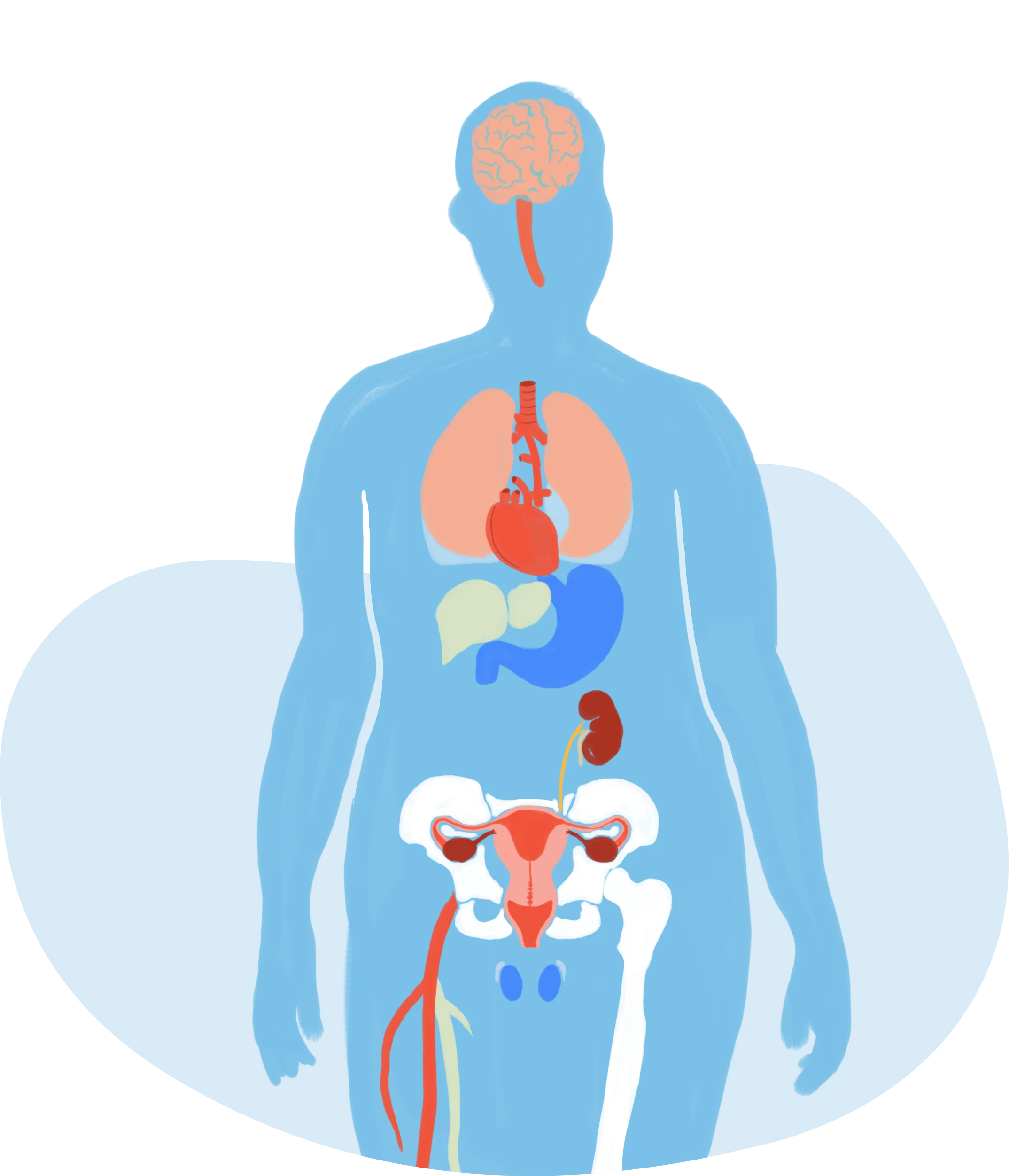 Get Information About Obesity